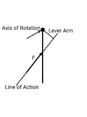 Identifying Sketches of the Lever Arm, Axis of Rotation, & Line of ...