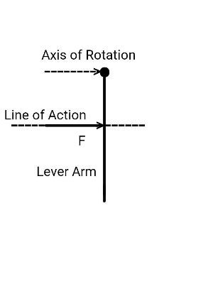 Identifying Sketches of the Lever Arm, Axis of Rotation, & Line of ...