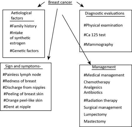 Provide a Breast cancer concept map. | Study.com