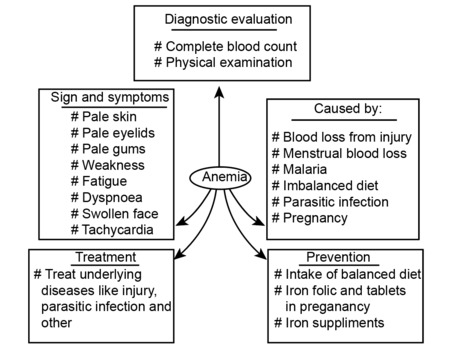 Provide an Anemia concept map | Study.com