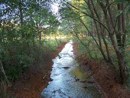 The Grapes of Wrath Vocabulary | Study.com