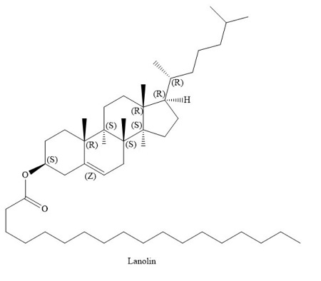 One component of lanolin, the wax that coats sheep's wool, is derived ...
