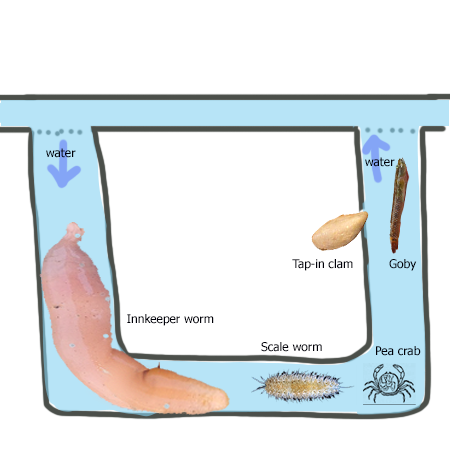 Analyzing How Interactions between Populations Cause Change within ...