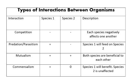 Comparing & Contrasting Types of Organism Interactions Practice ...