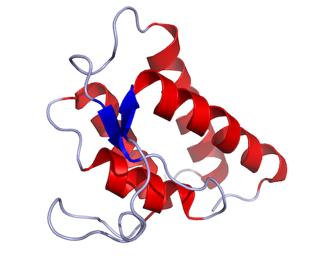 Cytokines Overview, Function & Types - Lesson | Study.com