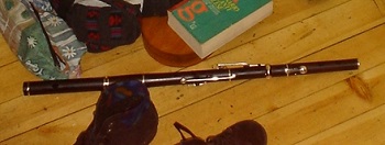 Celtic Music History, Style & Instruments | Study.com