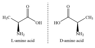 Stereoisomers exist for most of the amino acids found in nature. Which ...