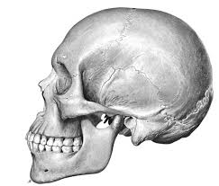 Dislocated Jaw | Definition, Symptoms & Treatment | Study.com