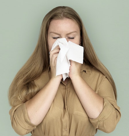 Brain Stem | Definition, Function & Parts - Lesson | Study.com