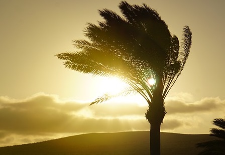 La Nina | Definition, Effects & Pattern | Study.com