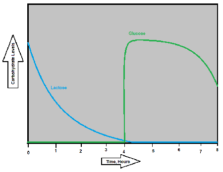 Analyzing Sample Conditions and Determining if the Lac Operon is ...