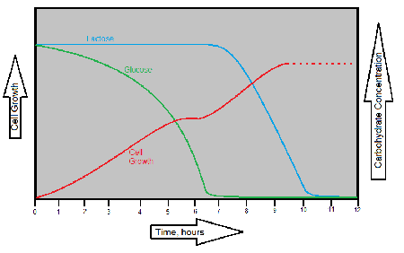 Analyzing Sample Conditions and Determining if the Lac Operon is ...