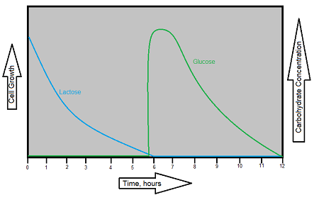 Analyzing Sample Conditions and Determining if the Lac Operon is ...
