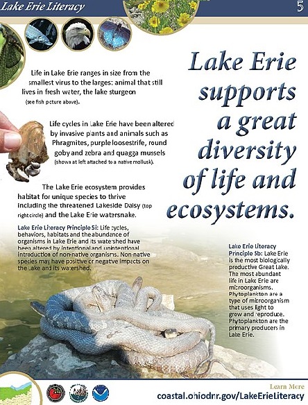 Identifying Biodiversity at Genetic, Species & Ecosystem Levels ...