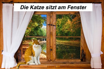 German Contractions | List, Prepositions & Sentences | Study.com