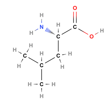 Categorizing the Four Biological Macromolecule Monomers Based on an ...
