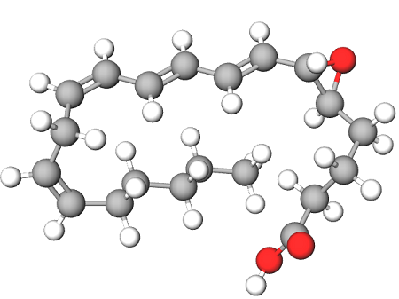 Eicosanoids Definition, Function & Structures - Lesson | Study.com