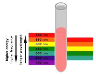 Metal-Aqua Ions: Formation in Solution | Study.com