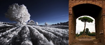 Composition in Photography | Definition, Elements & Examples - Lesson ...