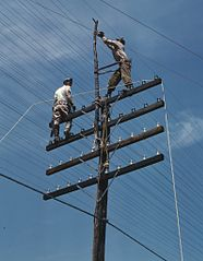 Veteran | Definition, Types & Significance | Study.com