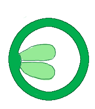 Ovary in Flowers | Definition, Structure & Functions - Lesson | Study.com