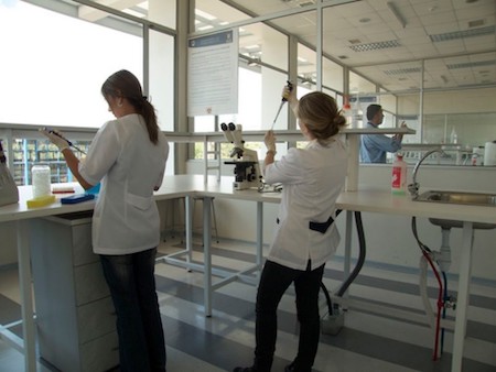 Validity & Reliability in Research | Definition & Importance - Lesson ...