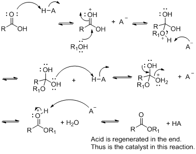 Would using more sulfuric acid in the Fischer esterification reaction ...