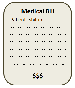 Shiloh Chapter 12 Summary | Study.com