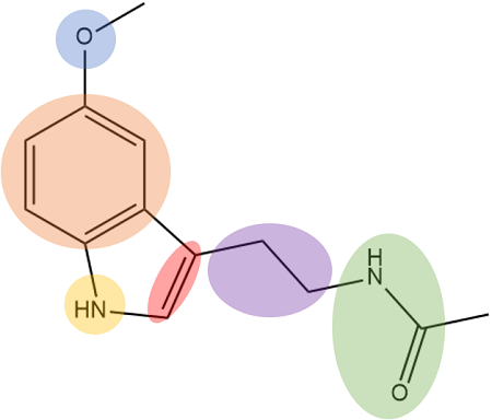 What are the functional groups of melatonin? | Study.com