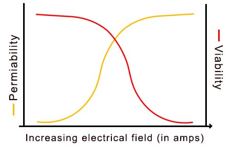 Comparing the Components of a Phospholipid that Create a Stable Cell ...