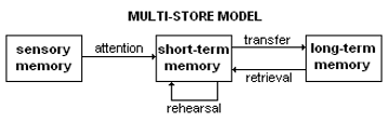 Phonological Loop | Definition, Function & Examples - Lesson | Study.com
