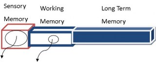 The Three Types of Memory Structure & Our Understanding of Knowledge ...