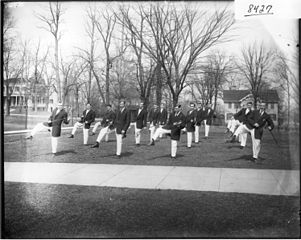 What is Frobscottle in the BFG? | Study.com