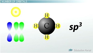Determining Orbital Hybridization | Overview & Examples - Lesson ...