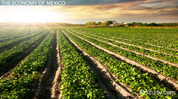 Impact of Mexico's Government Structure on the Economy - Lesson | Study.com