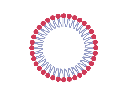 Comparing the Movement of Polar & Nonpolar Substances through the Cell ...
