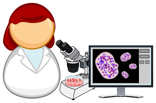 Comparing Open & Closed Systems Practice | Physical sciences Practice Problems | Study.com