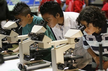 How a Year-Long Project Made My Students Focused and Passionate | Study.com