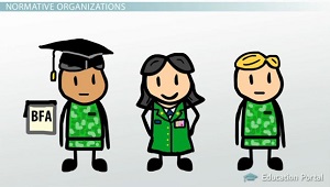 Formal Organization | Definition, Structure & Examples - Lesson | Study.com