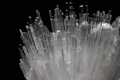 Patterns in Nature | Repeating, Mathematical & Animal Patterns - Lesson ...