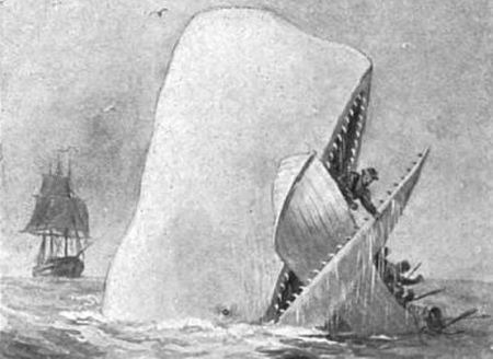 Captain Ahab & Moby Dick | Overview & Analysis - Lesson | Study.com