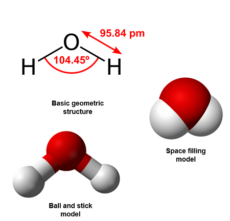 Water Molecules