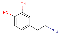 Dopamine | Definition, Function & Effects - Lesson | Study.com