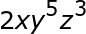 Quiz & Worksheet - Arithmetic with Monomials | Study.com