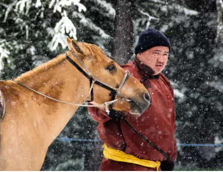 Nomadic Lifestyle | Origin, Characteristics & Importance - Lesson ...