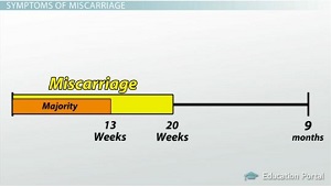 Common Causes of Miscarriage or Spontaneous Abortion - Lesson | Study.com