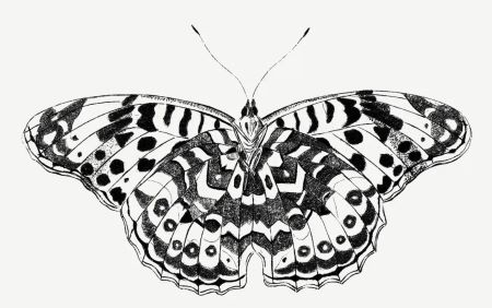 Differentiating between Evolutionary Processes Practice | Biology Practice Problems | Study.com