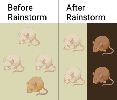 Evaluating Evidence that Changes in Environmental Conditions Lead to ...