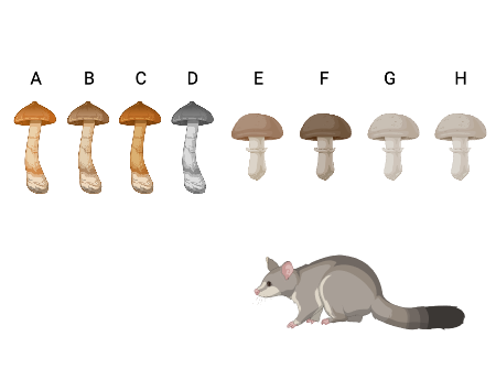 Comparing the Effects of Internal Changes & External Cues within ...