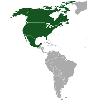 North American Countries: Historical & Cultural Connections | Study.com